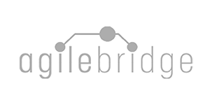 Intent Architect - A next-generation software development tool